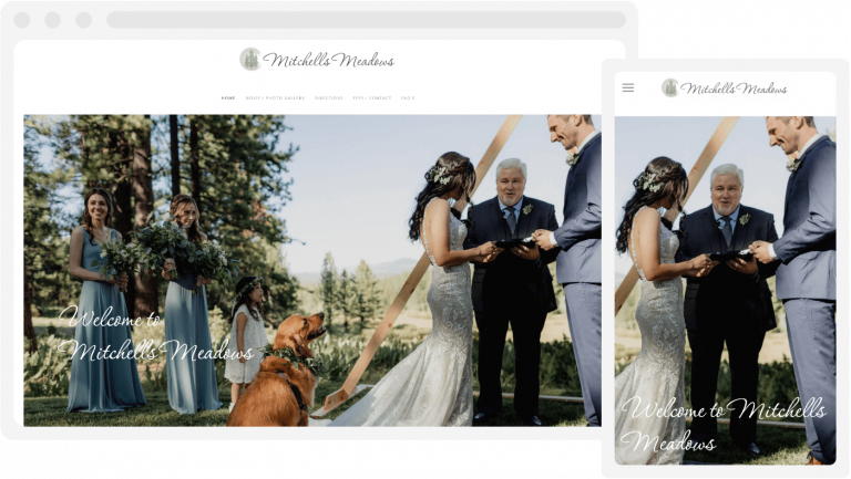 The Web Elite | Portfolio